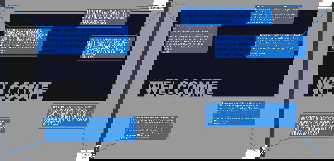 Commodious Online Course Help