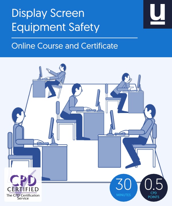 Display Screen Equipment (DSE) Training | Commodious